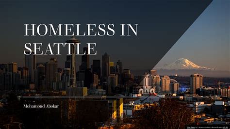Homelessness In Seattle Pdf