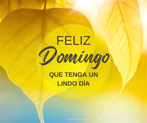 Frases De Feliz Domingo Paisajes Hermosos Buenos Días Feliz Domingo
