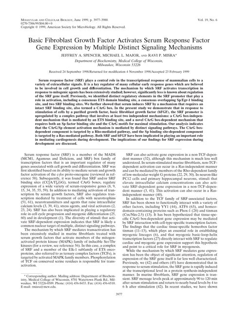 Pdf Basic Fibroblast Growth Factor Activates Serum Response Factor Gene Expression By Multiple