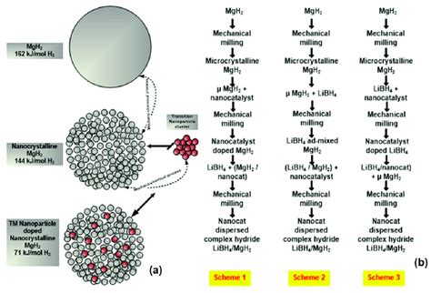 A Conceptual Model And B Flowchart For The Reaction Pathway Schemes