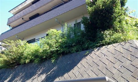 草刈工事 Ok Home By（有）恩田工業のブログ