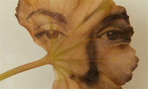 Alice Cazenaves Best Photograph A Portrait On A Leaf Alternative