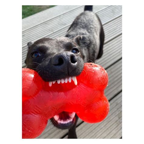 Patterjack On Tumblr