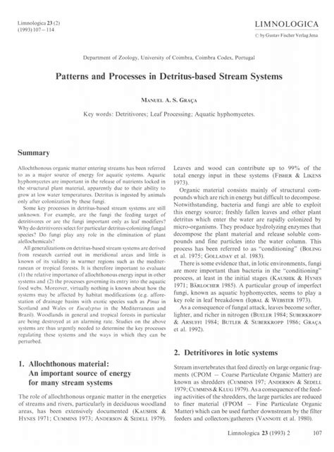 Pdf Patterns And Processes In Detritus Based Stream Systems