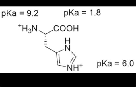 Solved Pka Of The Ionizable Functional Groups In Histidine