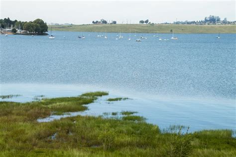 Yachts In Their Moorings On The Extensive Midmar Dam Stock Image