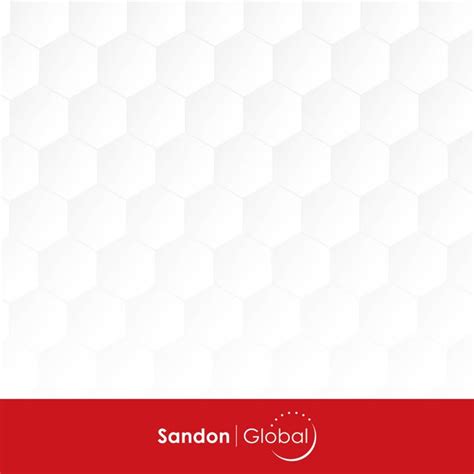 Sandonglobal Flexo Anilox Printpackindia Printpackindia2025