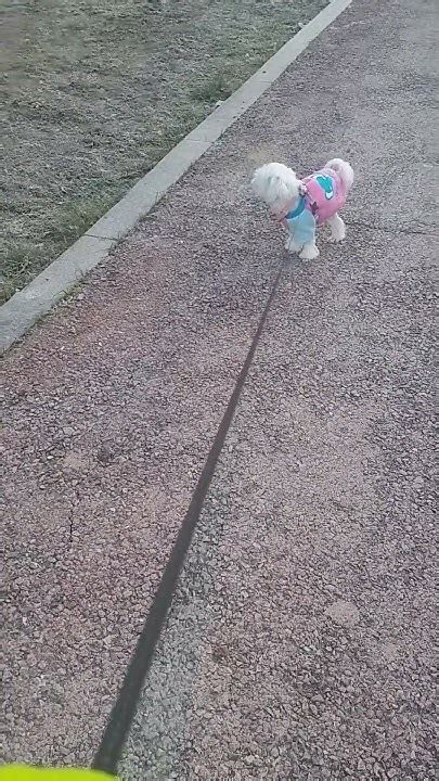 얼음 땡〰️ Youtube