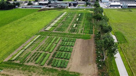 Ucd Crop Science Ucd School Of Agriculture And Food Science