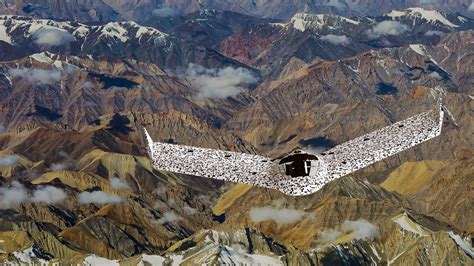 Ageagles Evolution In The Drone Industry Bill Irby Ceo Of Ageagle