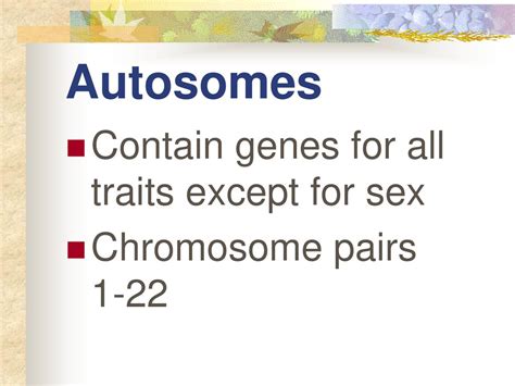 Genetics Vocab Notes Ppt Download