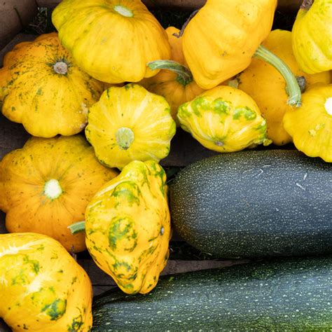 Squash Abc Gardening Australia Magazine