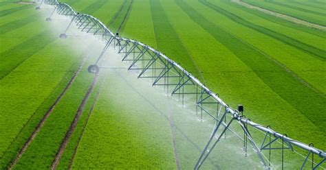 Center Pivot Irrigation In India