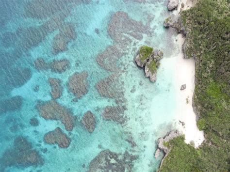 宮古島初！エコツーリズム（カーボンニュートラルツアー）の取り組み 宮古島 Adventure Pipi（ピピ）