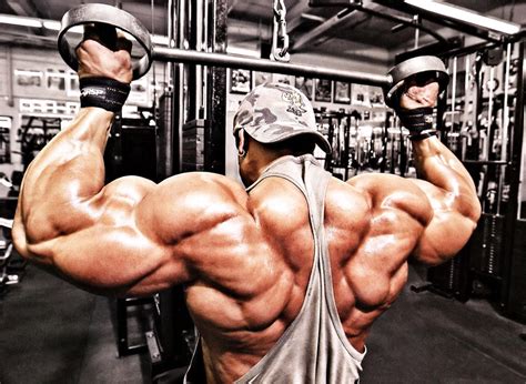 Roelly Winklaar Trainer