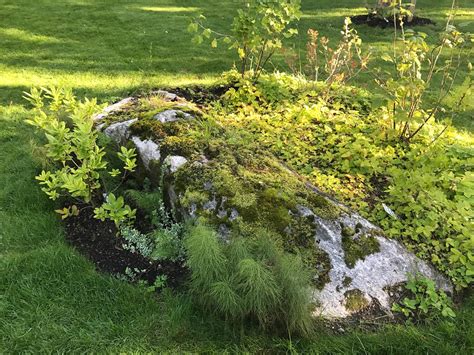 Grass Bush Nature Free Photo On Pixabay