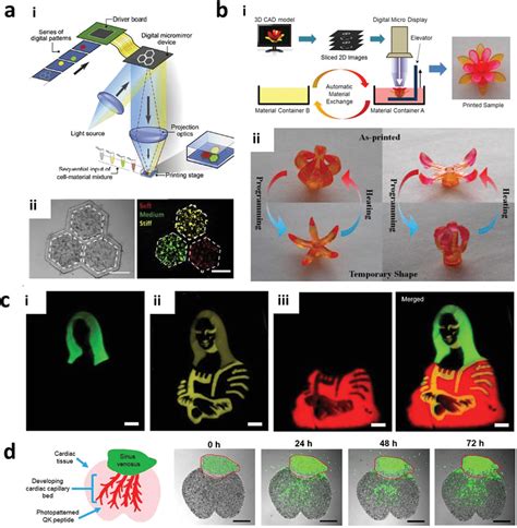 Use Of Multimaterials In Vat Polymerization A I Schematic Diagram