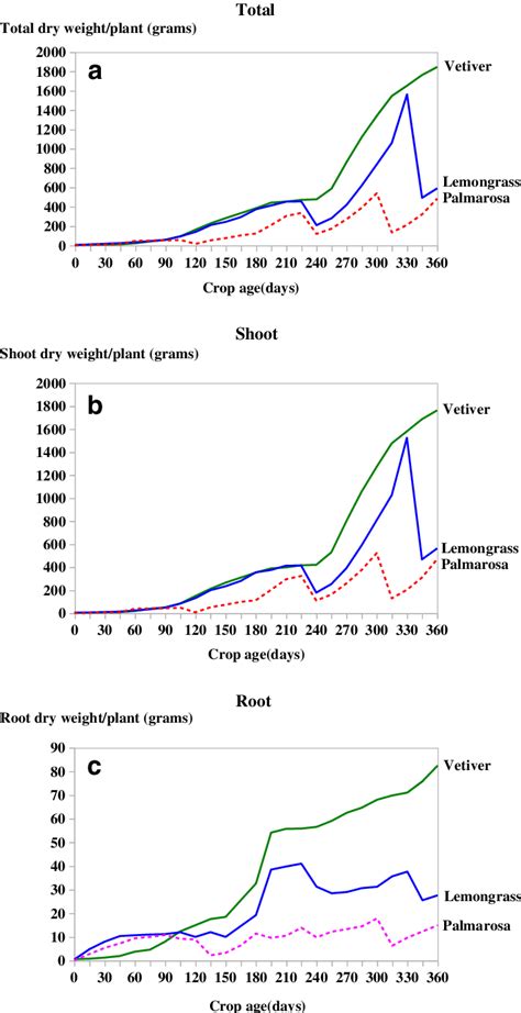 Growth Curves For Three Aromatic Grasses Vetiver Lemongrass And