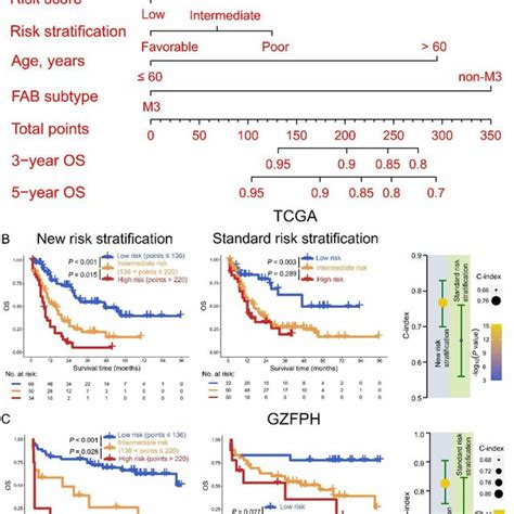Construction Of Risk Stratification For Aml Patients A The Risk Download Scientific Diagram