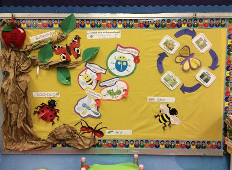 Insect Classroom Display Photo Artofit