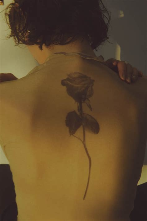 Ameri 2023 Summer Collection 画像24枚 Fashionsnap