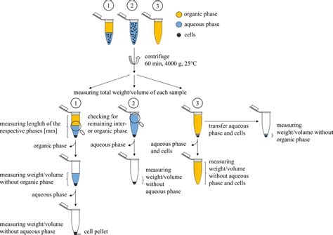 Continuous Phase Separation Of Stable Emulsions From Biphasic Whole