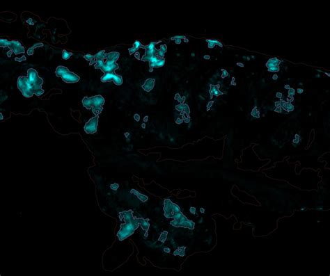 Qupath Pixel Classifier Export Intensity Values Image Analysis Imagesc Forum