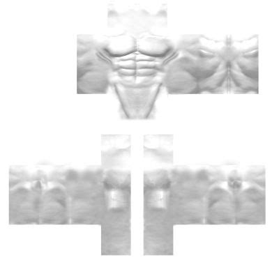 Roblox Muscle Template