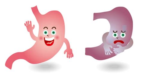 16 Warning Signs Of Poor Digestion That Everyone Ignores Butter