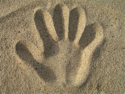 Hand In Sand
