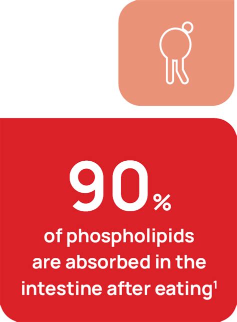 Phospholipids