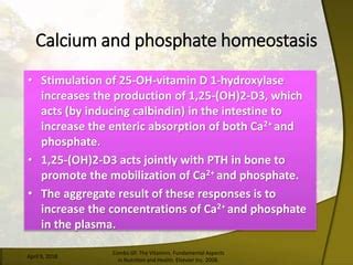 Metabolic Functions Of Vitamin D Ppsx