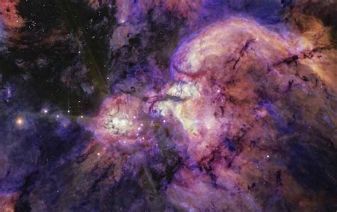 Nasas James Webb Telescope Has Revealed The Curious Cosmic Inhabitants