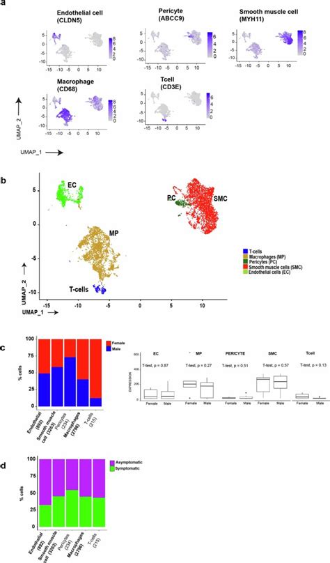 Single Cell Rna Sequencing Reveals Sex Differences In The Subcellular
