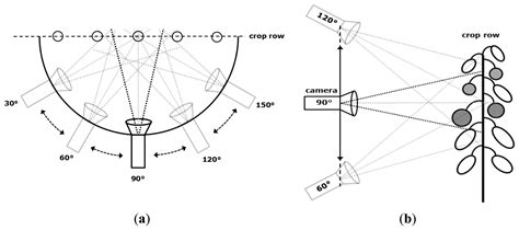 Sensors Free Full Text Fruit Detectability Analysis For Different