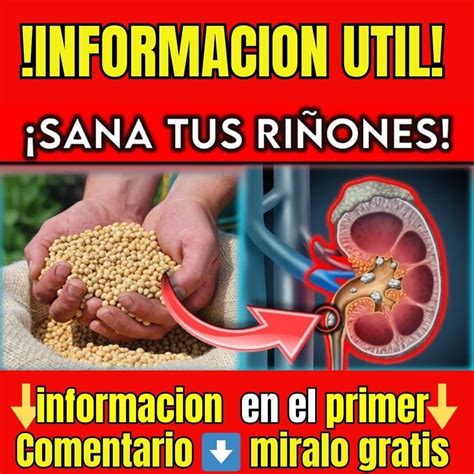 Salud De Los Riñones Funciones Cuidados Y Hábitos Para Protegerlos