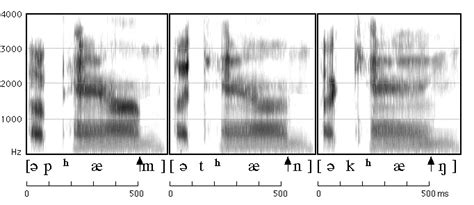 32 Acoustic Aspects Of Consonants Phonetics And Phonology