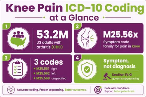 Knee Pain Icd 10 Codes M2556x 2026 Coding Guide
