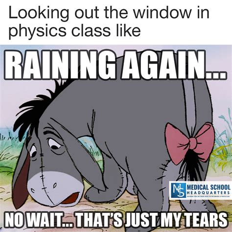 Physics Class Memes