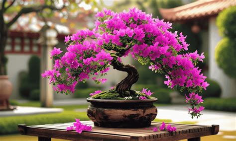 Complete Guide To Bougainvillea Bonsai Tree Care Bonsai Craft