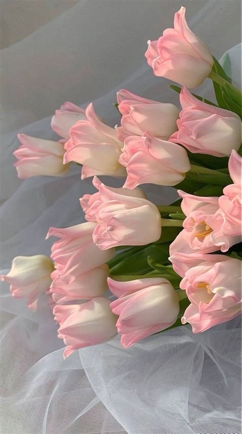 🪐 Shaileyvanhoutteghem 🪐 Flower Therapy Flower Arrangements Flower