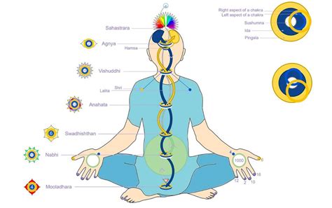 The Bandhas For Beginners What They Are And How They Work