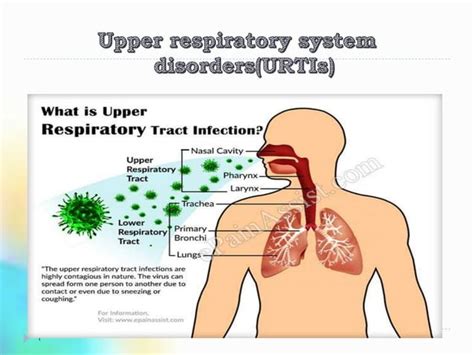 Upper Respiratory Disorders Pptx