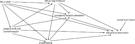 Visual Diagram Of Causal Relationships For Selection Of Confounder