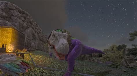 Joker Color Ark