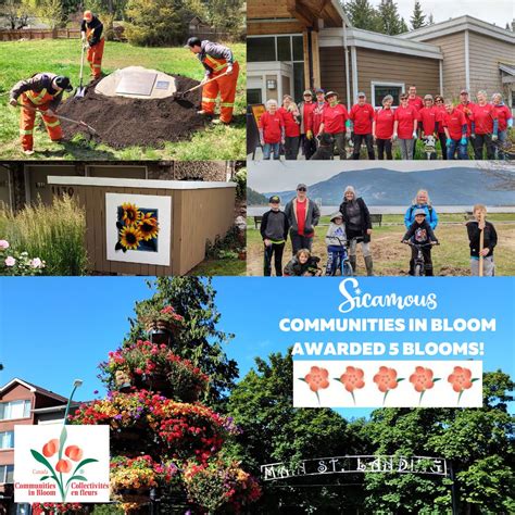 Sicamous Communities In Bloom Awarded Five Blooms News District Of