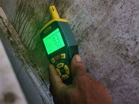 Xrf Lead Testing In Suffolk County New York Exit Mold