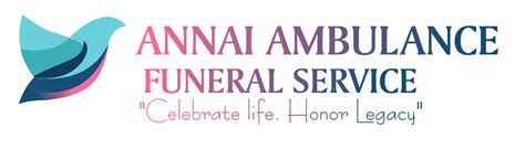 Ambulette Vs Ambulance Key Differences Explained