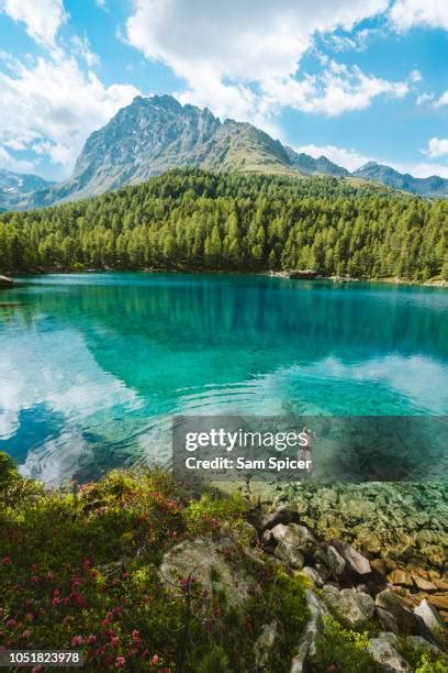 Man Swimming In Alpine Lake Photos And Premium High Res Pictures
