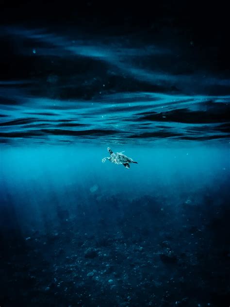 Docker Observability Real Time Monitoring With Cadvisor Prometheus And Grafana By Hasnain